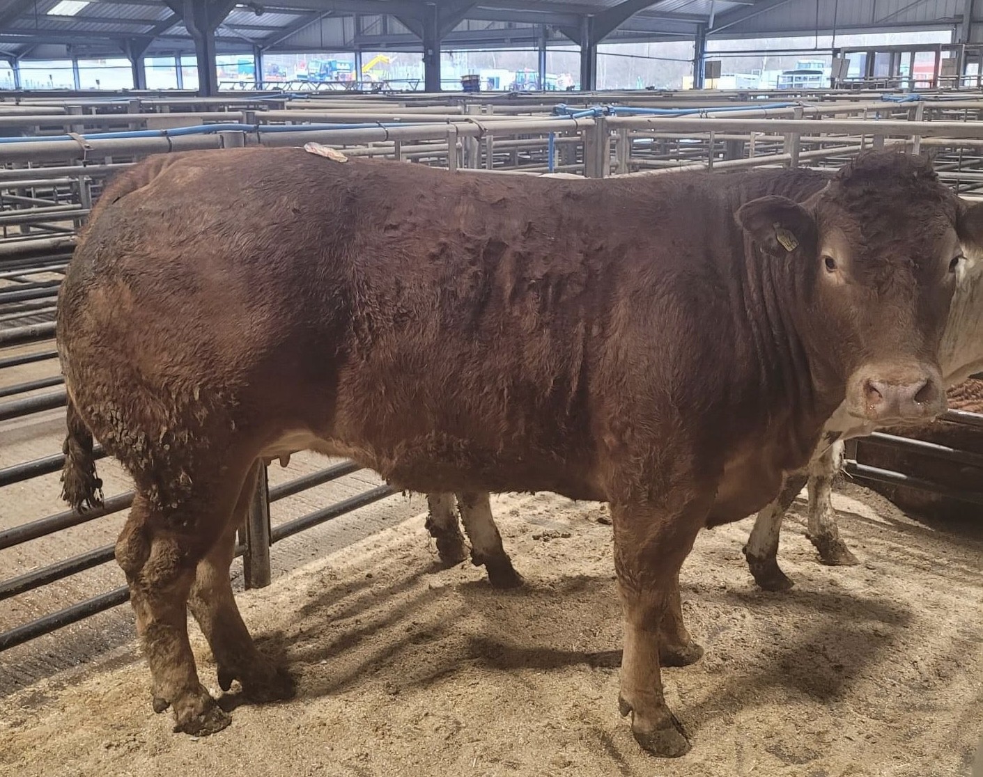 Sales and Catalogues Calendar